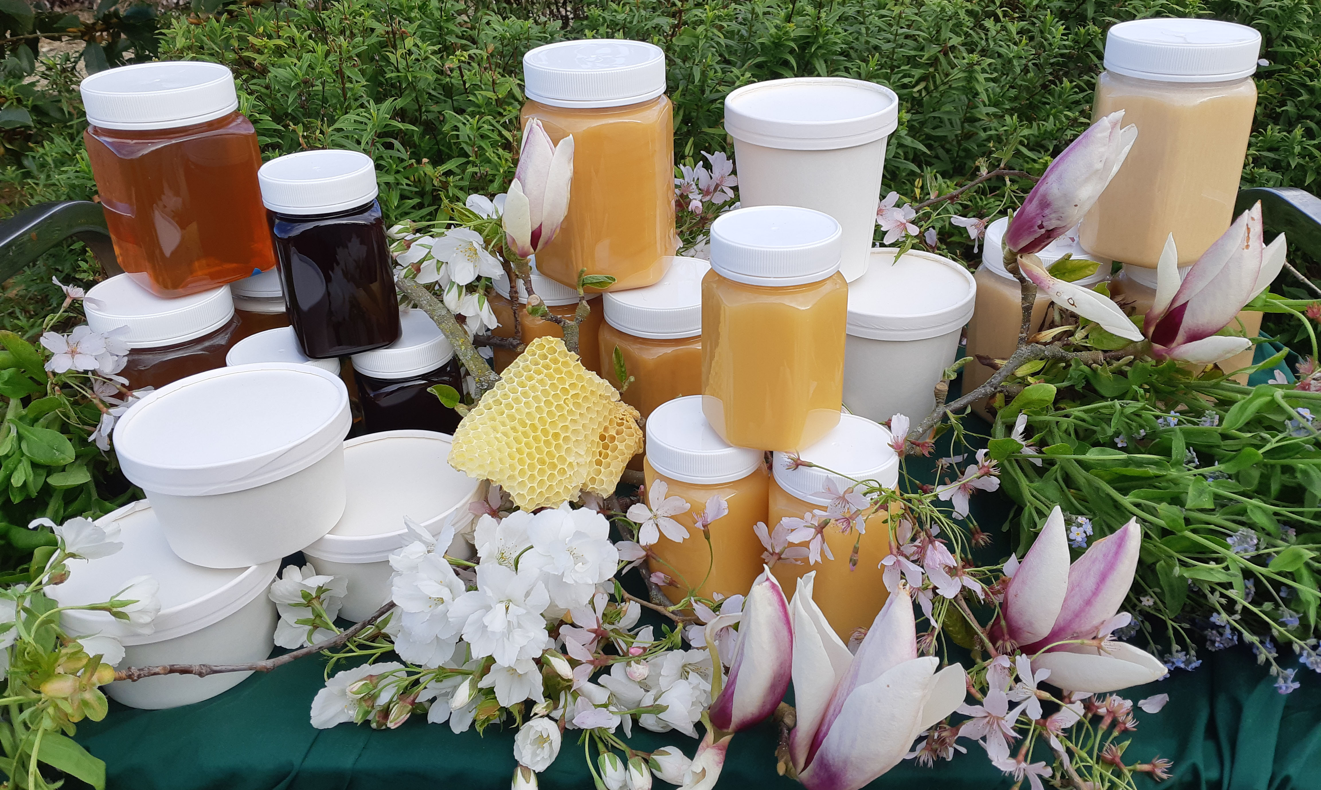 Bee Supplies Otago